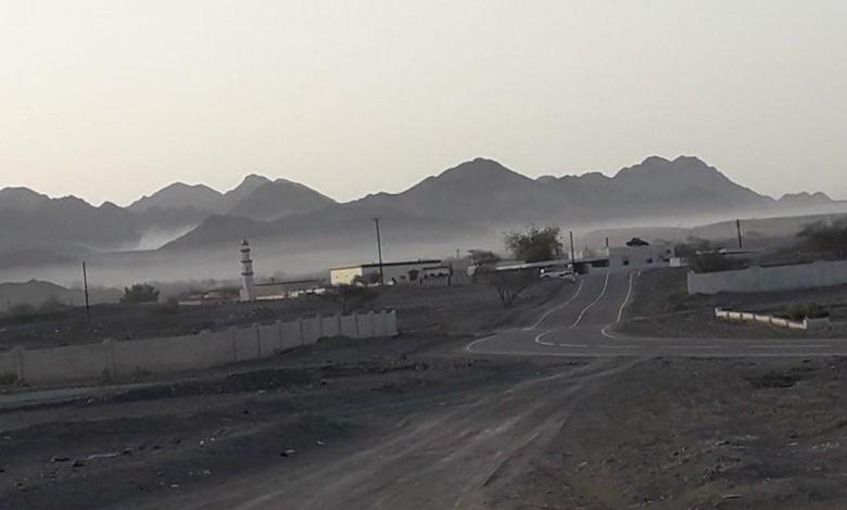 Ministry to float tender to repair Liwa road after video goes viral ...