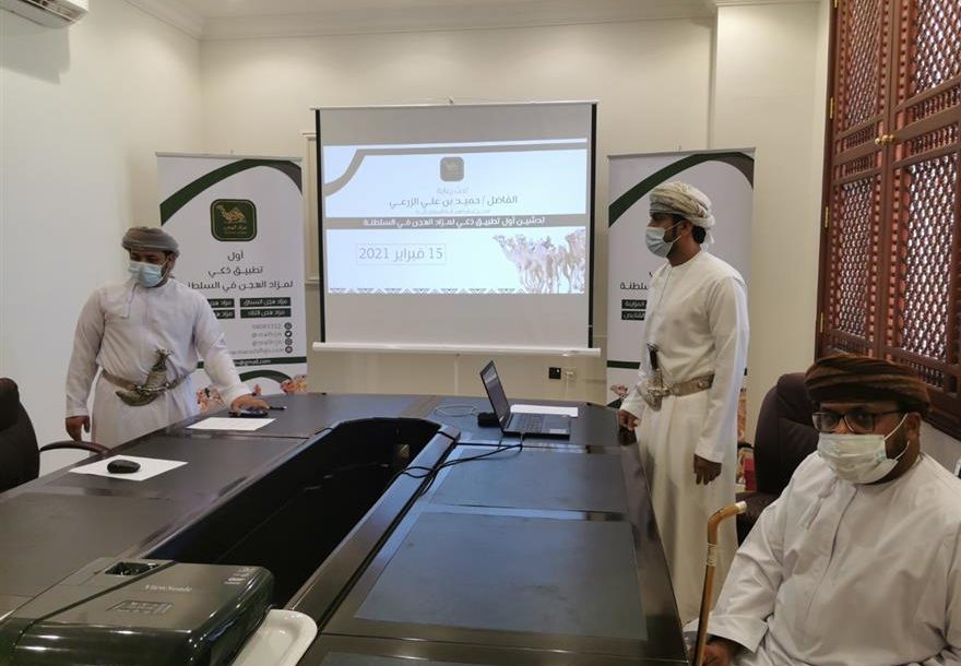 First smart camel auction launched in Oman - The Arabian Stories News
