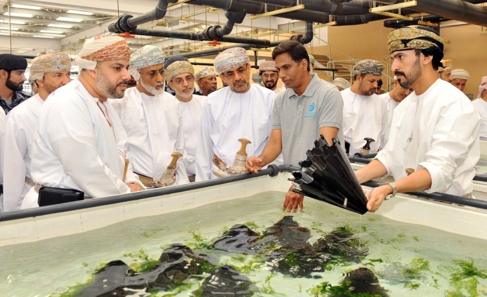OMR 10 million worth fishing project launched in Oman - The Arabian ...