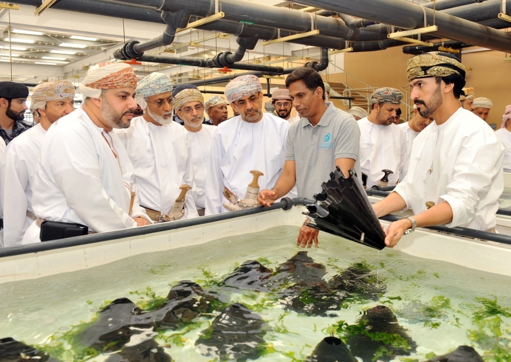 OMR 10 million worth fishing project launched in Oman - The Arabian ...