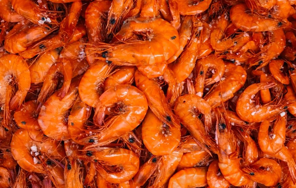 90 days of shrimp fishing along Oman’s coasts begin tomorrow - The ...