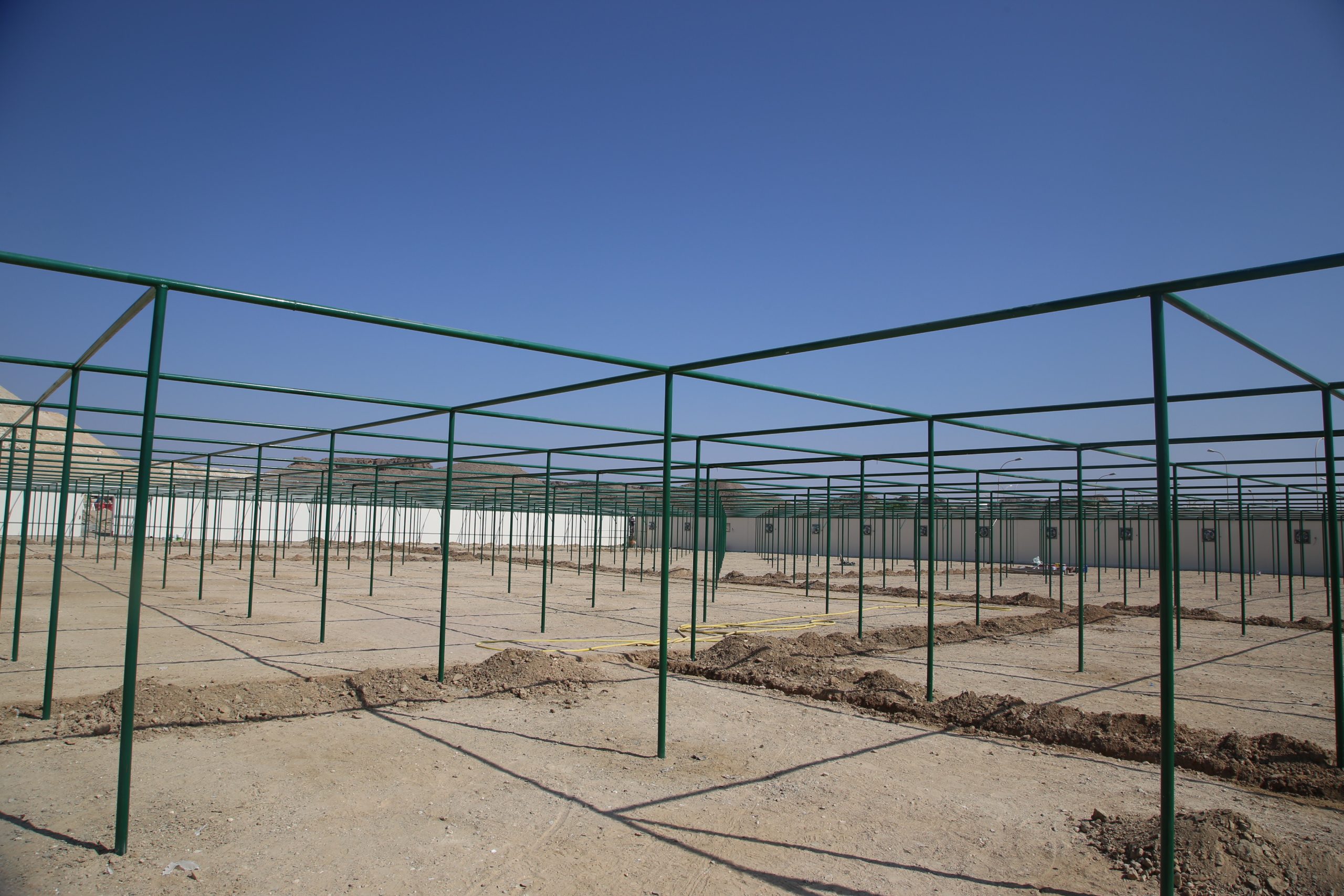 SEZAD announced 90% completion of its plants nursery - The Arabian ...