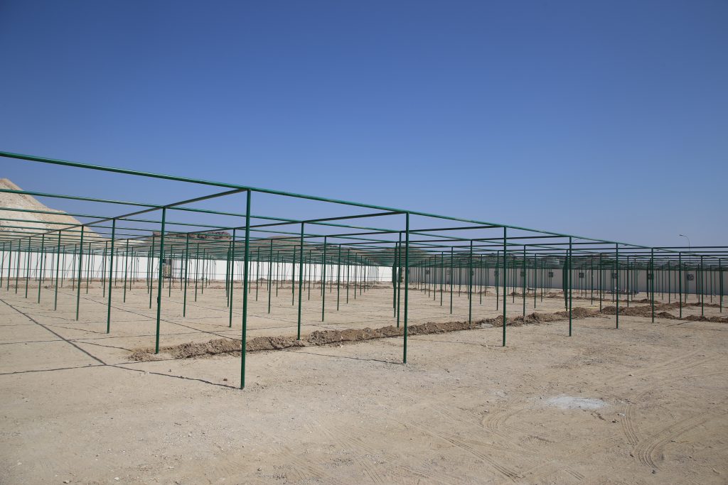 SEZAD announced 90% completion of its plants nursery - The Arabian ...