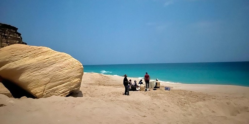 Oman’s EA launches 2nd phase of marine turtle tracking project - The ...
