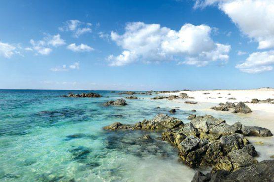 Oman Tourism : Experience Masirah Island - the harmony of nature and ...