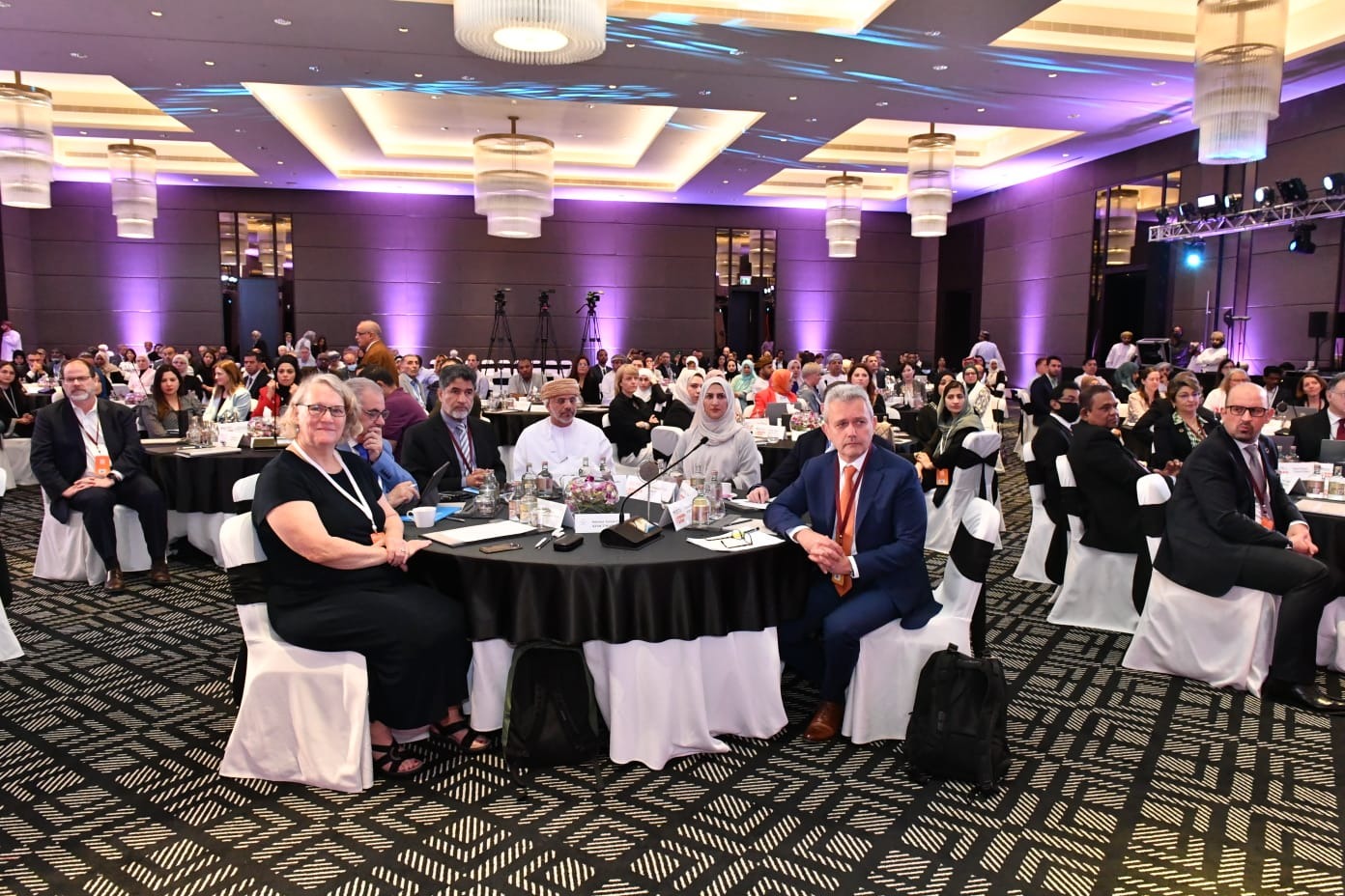 6th meeting of EMARIS begins in Oman - The Arabian Stories News