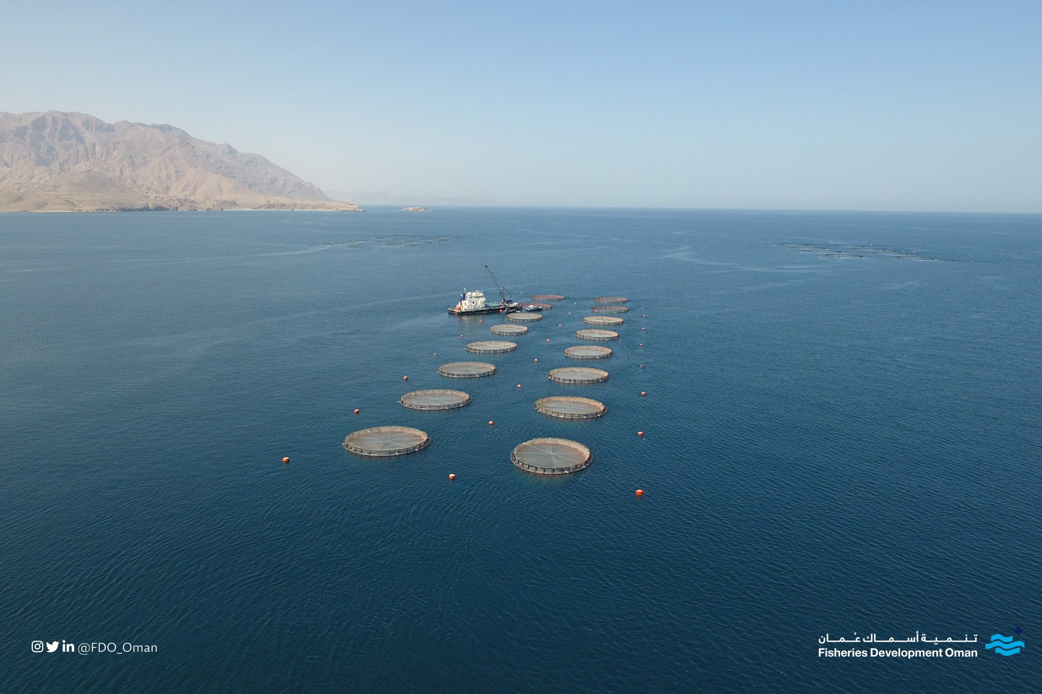 Investment opportunities in Oman's fishing industry showcased at Saudi ...