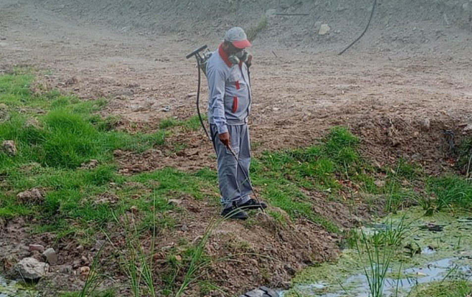 Muscat Municipality intensifies pest control measures following recent ...