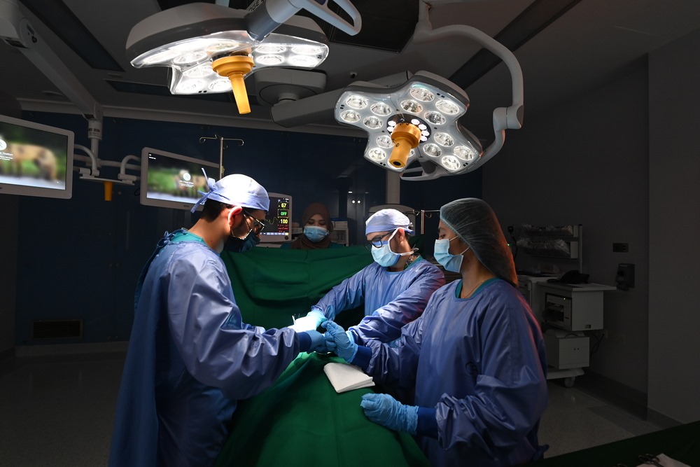 Oman’s health ministry performs over 86,000 surgeries in 2023 - The ...