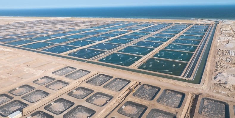 Oman ranks 17th globally and first in Gulf in the fisheries index - The ...