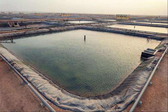 Oman Investment Authority announces merger of Nitaj and FDO to boost ...