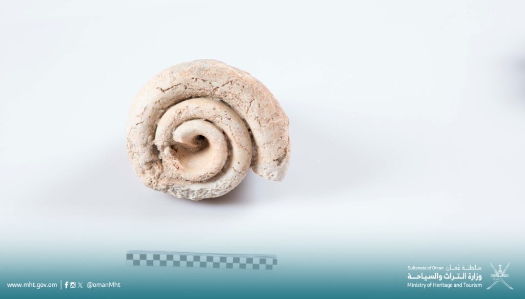 Oman issues National Fossil Collection data booklet - The Arabian ...