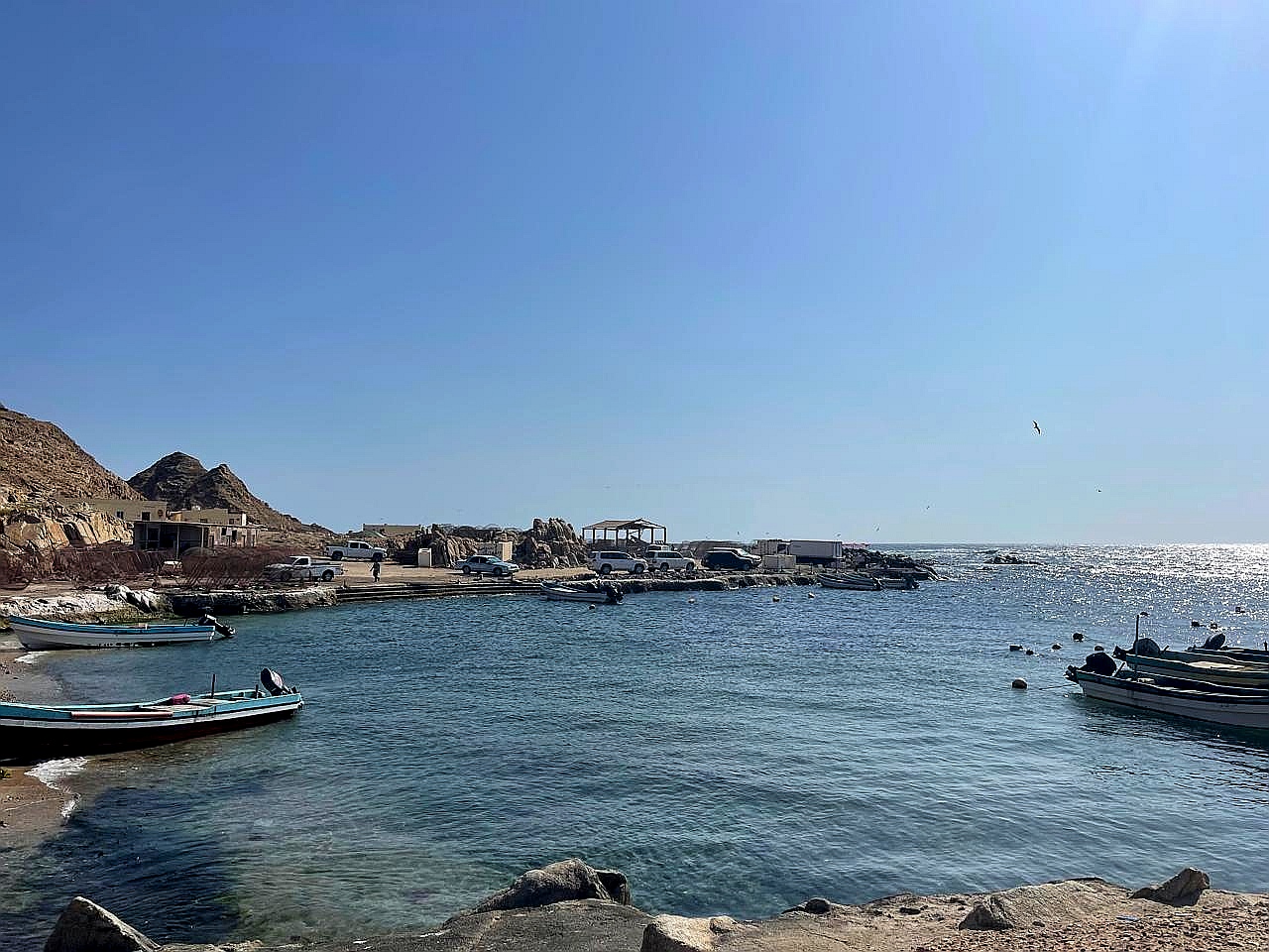 Oman allocates RO 11.5 million for fisheries infrastructure development ...