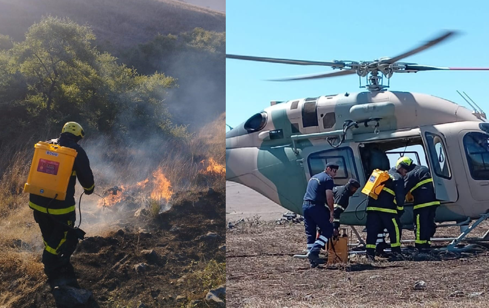 Oman's CDAA firefighters battle grass fire in Salalah - The Arabian ...