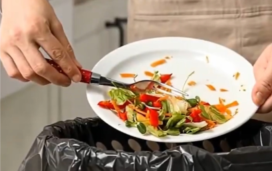 Muscat Municipality urges proper food waste disposal for environmental ...