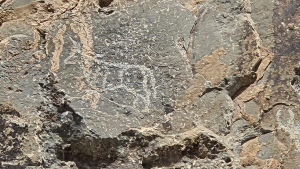 Ancient rock drawings discovered in Oman's Sohar region - The Arabian ...